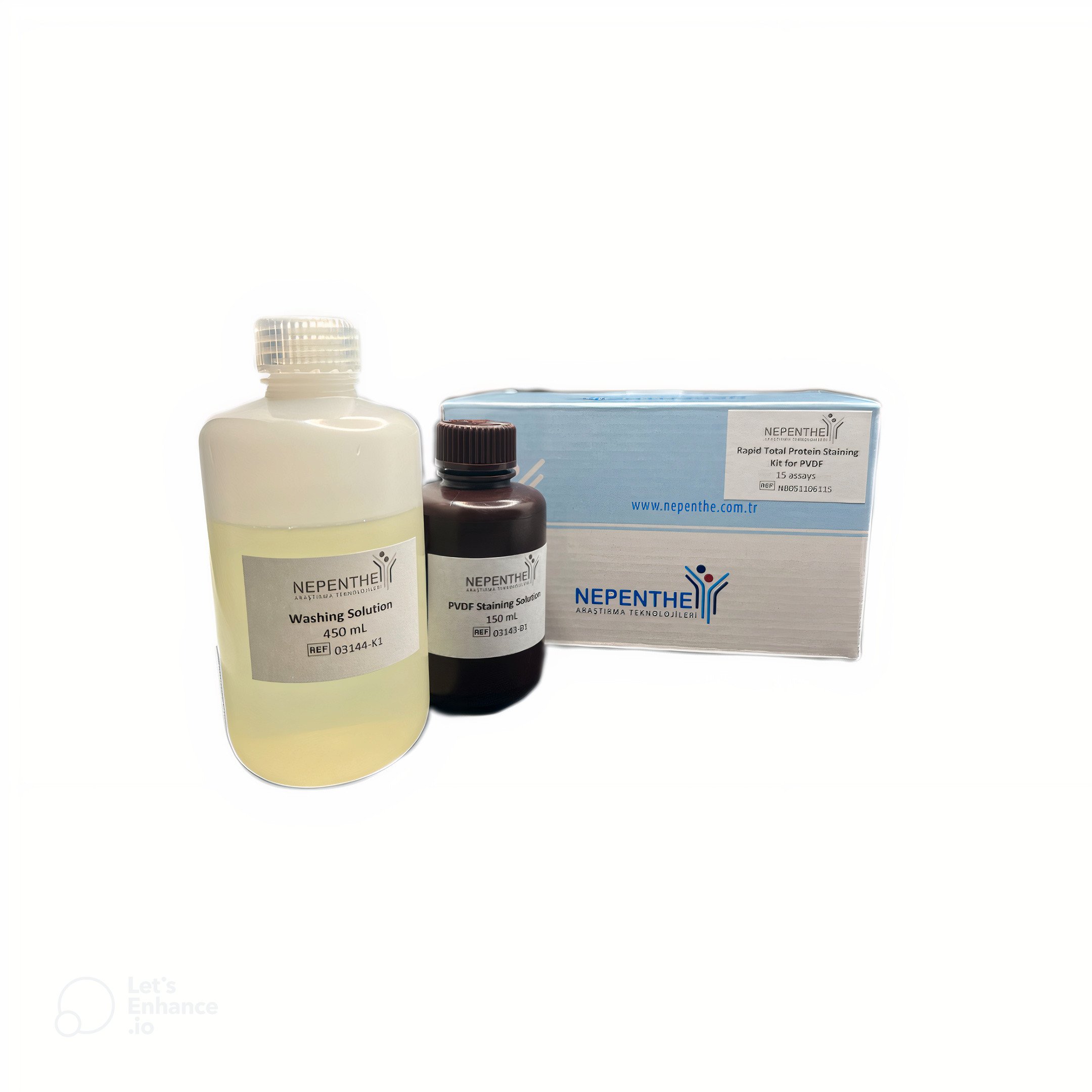 Rapid Total Protein Staining Kit - Idabv