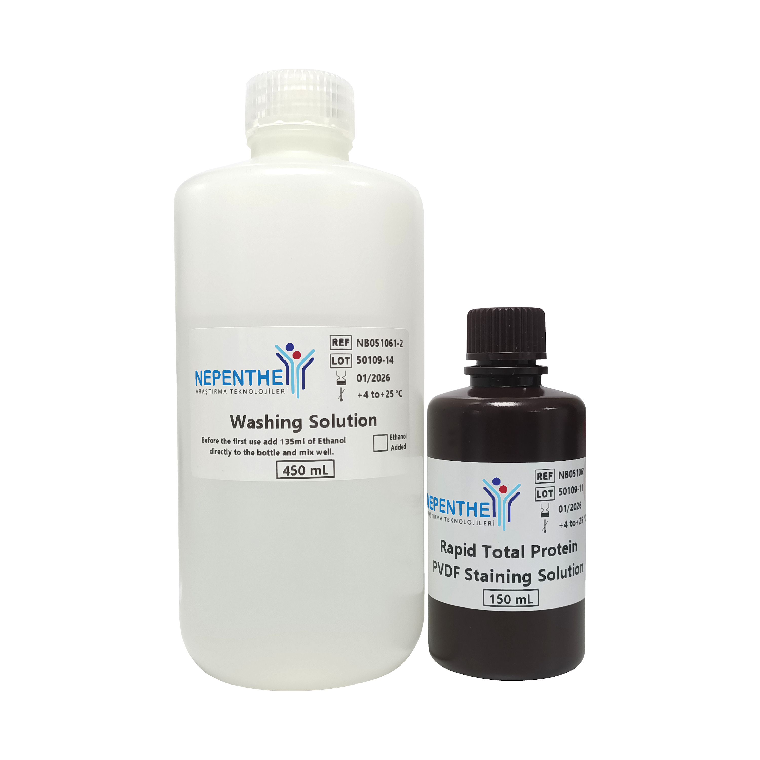 Rapid Total Protein Staining Kit - Idabv