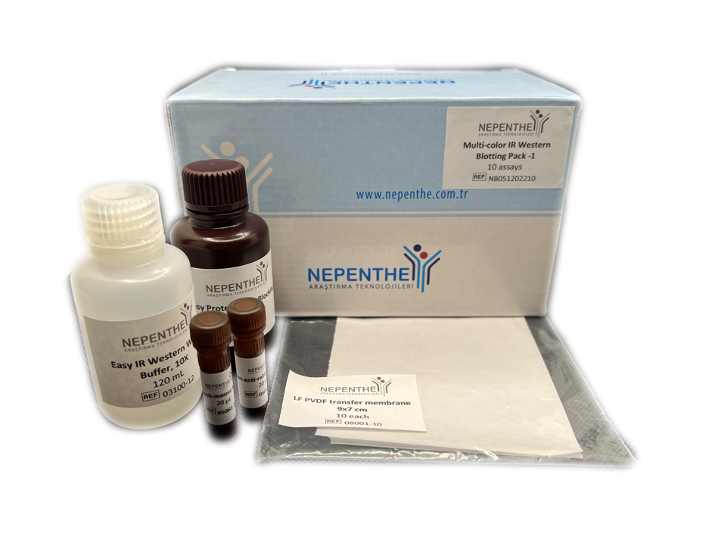 Multi-color IR Western Blotting Pack - Idabv