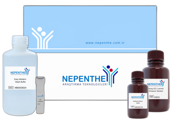 Rapid Bright Detection Pack - Idabv